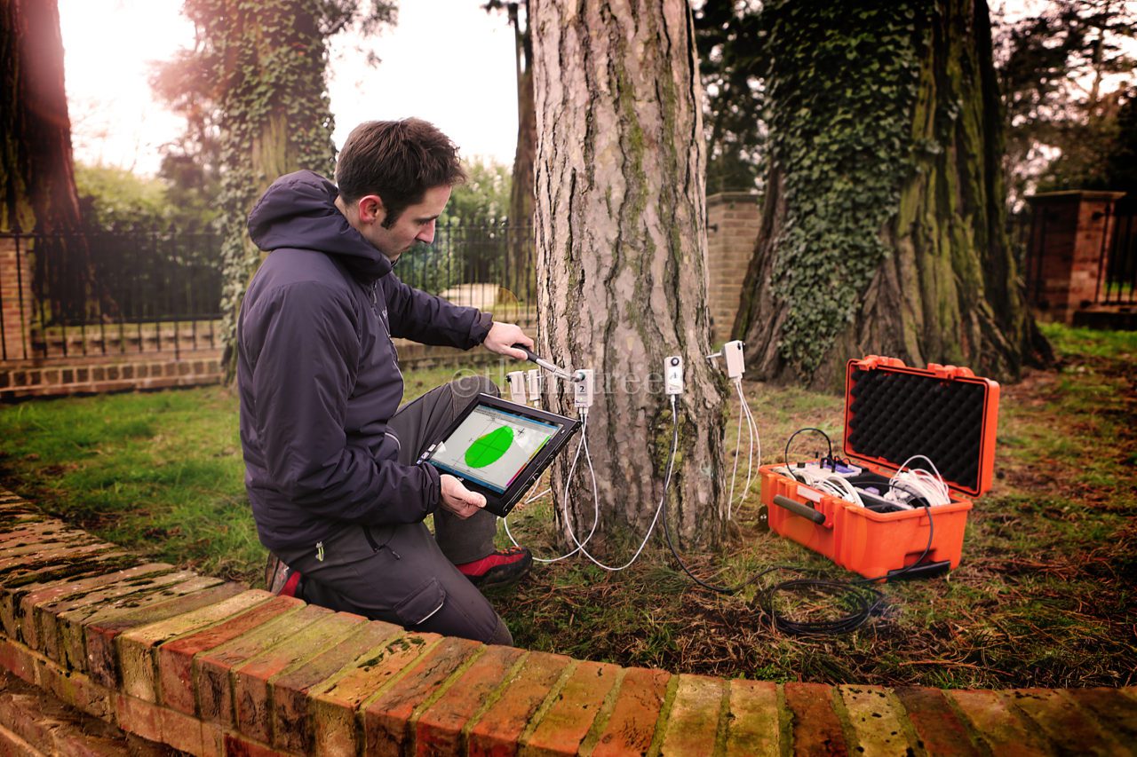 Our latest piece of equipment for detailed tree decay detection, the ...